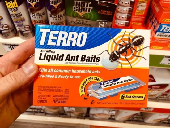 How To Kill Ants With Borax (Plus Powerful Recipes)