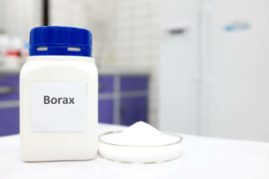 Does Borax Kill Bed Bugs? Everything You Need To Know