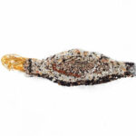 Mold Mites 101: What They Are & How To Get Rid Of Them