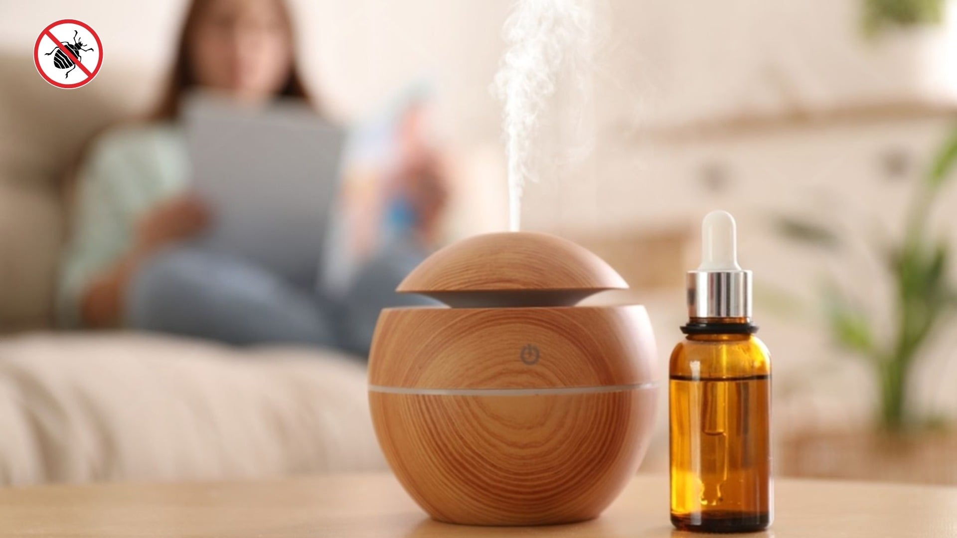 5 Best Essential Oils for Bed Bugs That May Help Naturally